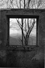 muse-ings: Totenstill - Dirk Reinartz